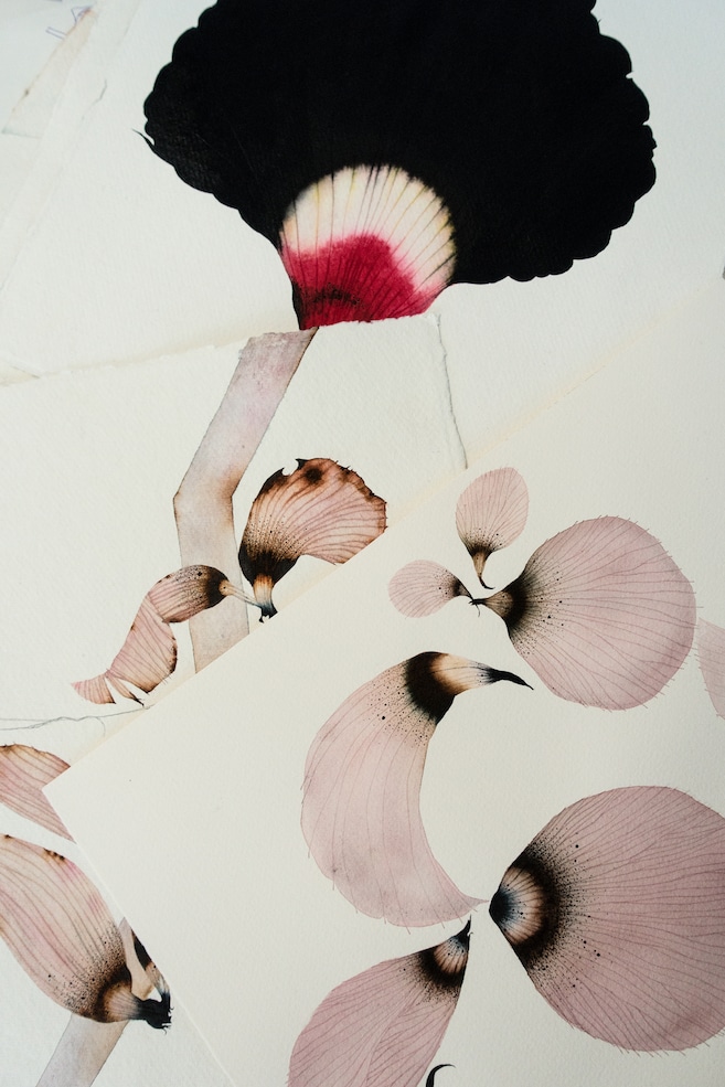 People: Stephen Doherty on flowers and artistry – COS