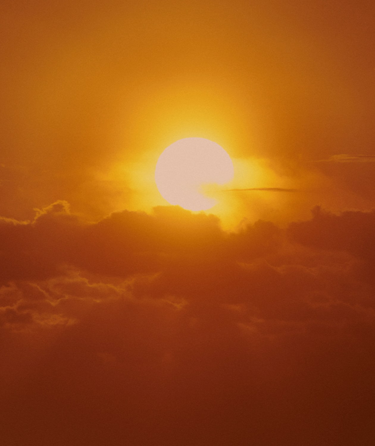 Contact Us - COS Customer Service | COS AU